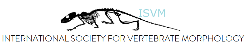 Nyakatura-Lab for Comparative Zoology | Publications